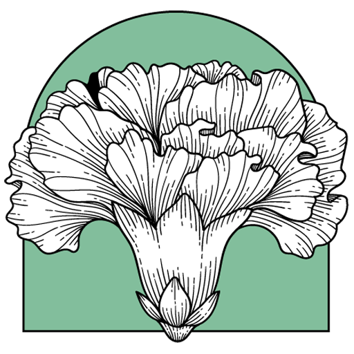 Inclusive Edge Consulting